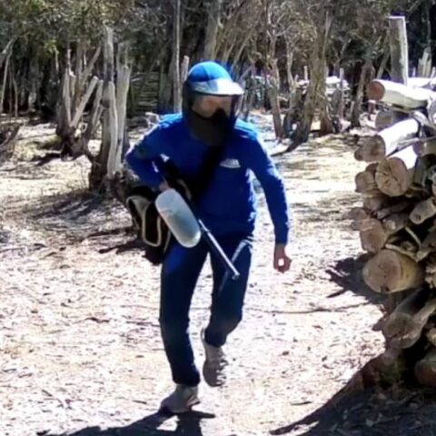 Traditional - Velocity Paintball